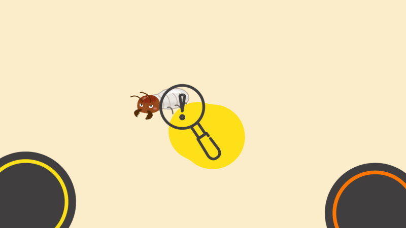 AI Pest Identifier - Revolutionize Pest Detection [Start for Free]